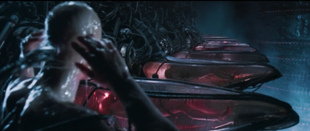 The Matrix: ‘I Know Kung Fu’ | Zip Movie Hub